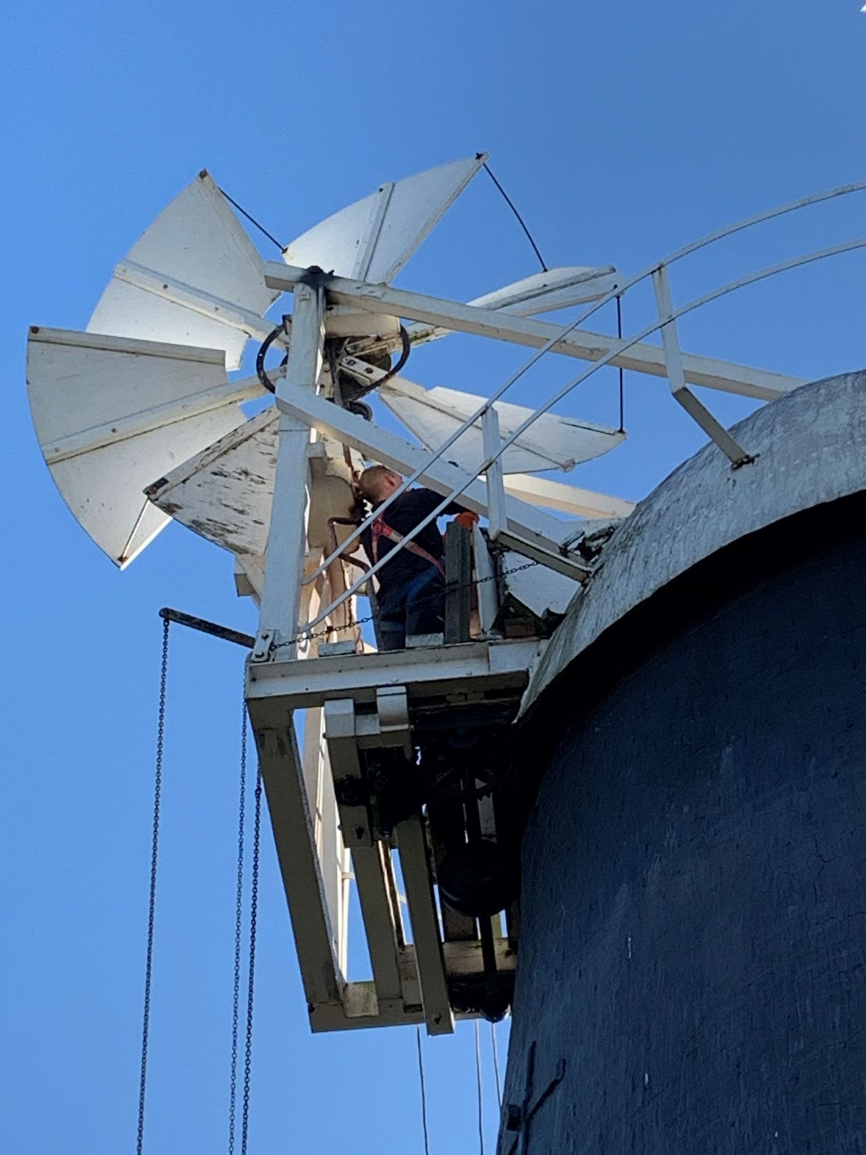 New Fantail for the Windmill - Prior's Flour