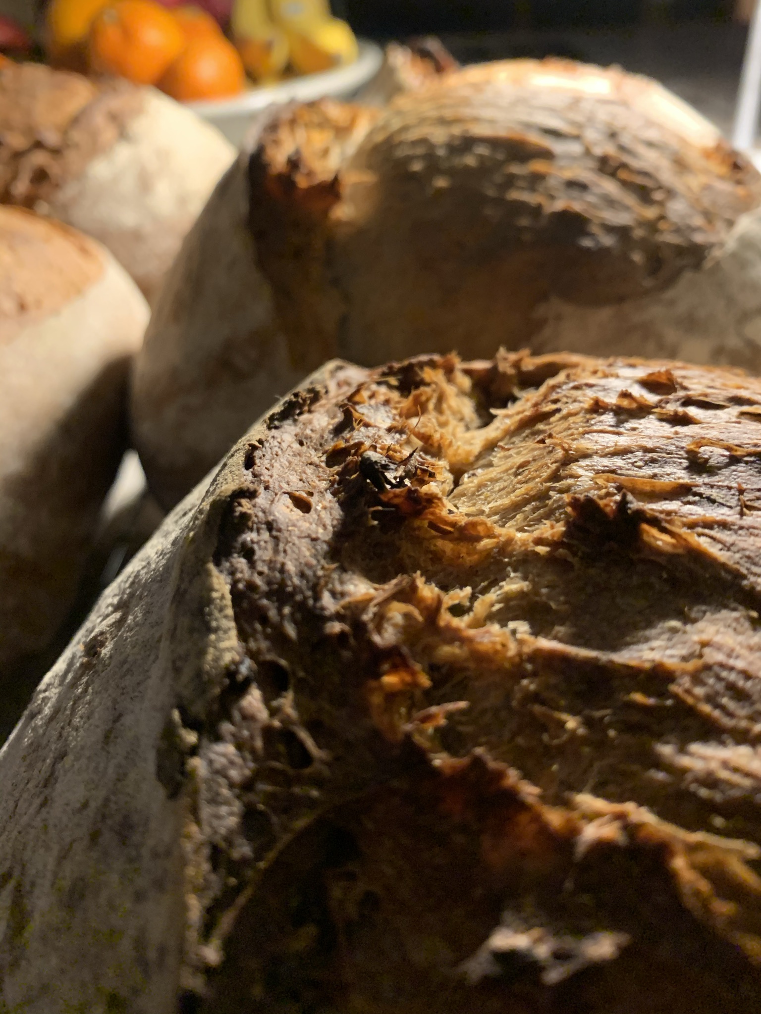 Country Malted Blend - Cracking Flour! - Prior's Flour