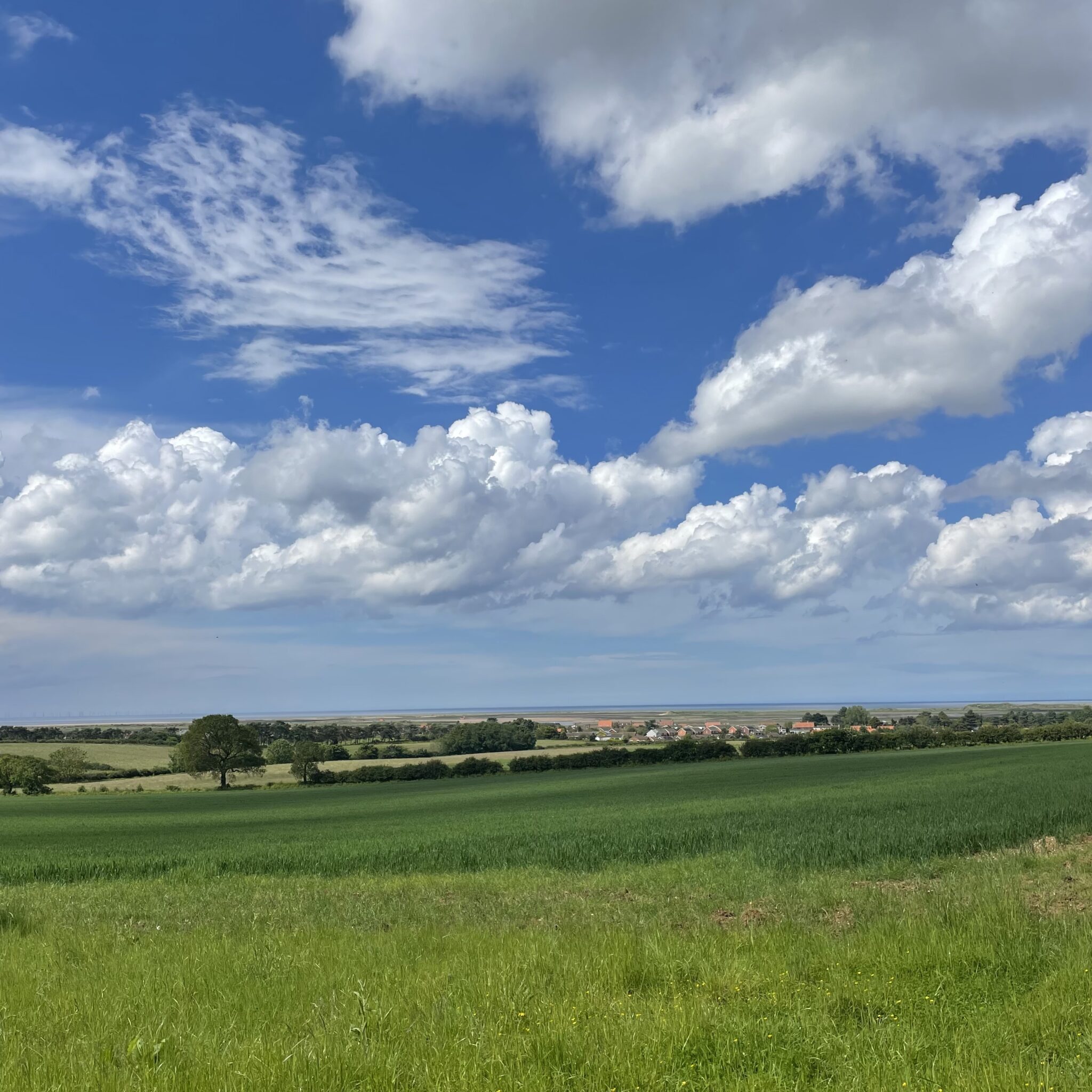 Introducing Deepdale Farm, North Norfolk - Prior's Flour